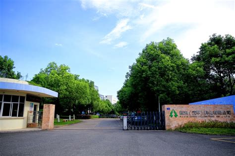 新洲武平林化有限公司