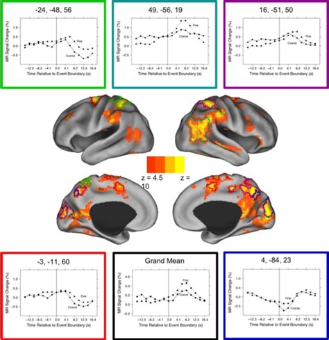 brain response to event boundaries the central images show the
