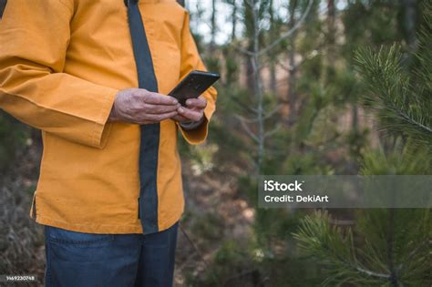 소나무 숲 한가운데에 서서 휴대폰을 사용하는 알아볼 수 없는 남자의 손 클로즈업 건강한 생활방식에 대한 스톡 사진 및 기타