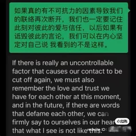 Lilian Kong And Shiqi Lin Hello My Chinese Spy Take My Data Welcome To The Playground Of