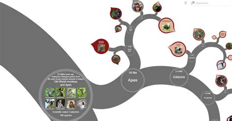 All The Tree Of Life Was Unveiled Online And It S Stunning Our Planet