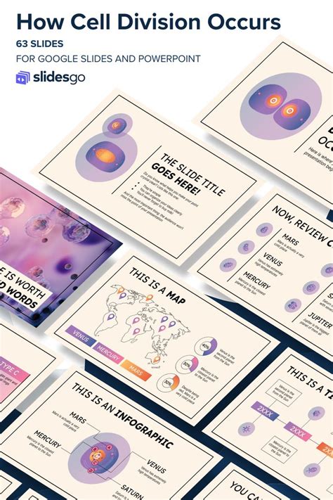 How Does Cell Division Work