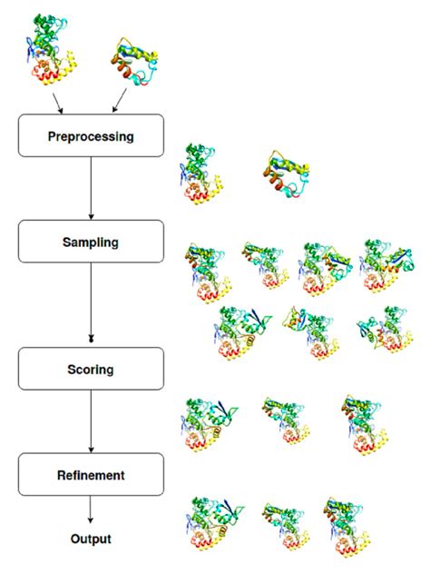 Protein Protein Docking Past Present And Future 논문 리뷰