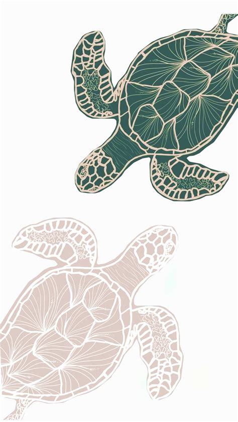 Aesthetic Turtle