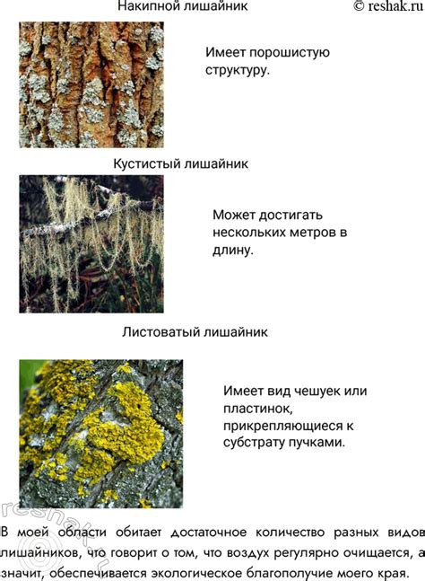 Решено Параграф 19 ГДЗ Пасечник 5 класс Бактерии Грибы Растения по биологии
