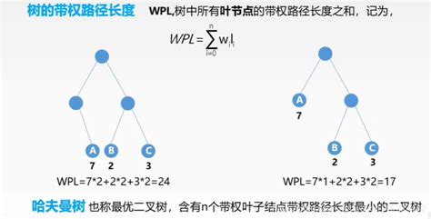 哈夫曼树（带权路径长度树的带权路径长度哈夫曼树定义构造哈夫曼树哈夫曼树性质哈夫曼编码计算平均码长 这里指wpl）哈夫曼数里的加权平均长度的概念 Csdn博客