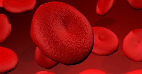 Haemochromatosis Association To Hold Free Information Evening In Tralee Radiokerryie