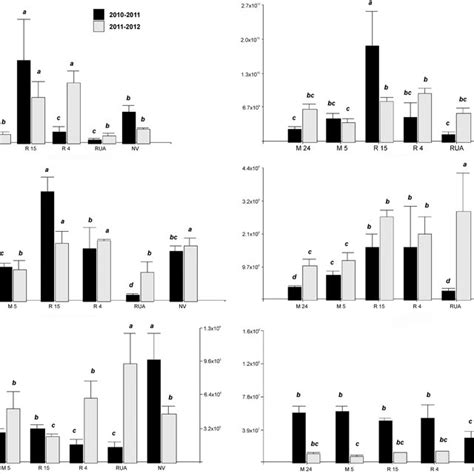 Copy Numbers Of Functional Microbial Groups Involved In Nitrogen Download Scientific Diagram