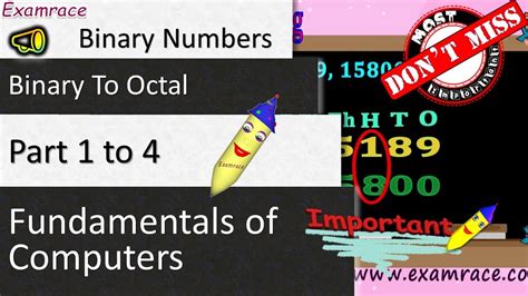 Binary Numbers Bit Byte Megabyte Gigabyte And Terabyte Part 1 Of 4 Fundamentals Of