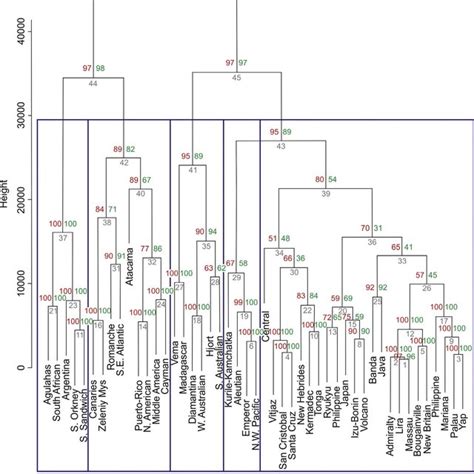 Dendrogram Of Hierarchical Cluster Analysis Of Distance Data Measuring Download Scientific