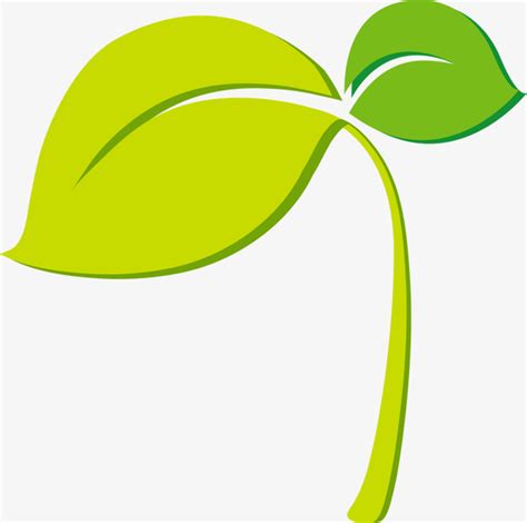 其他 新鲜茶叶嫩芽 好图网