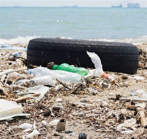 Plastic Ocean Pollution Facts