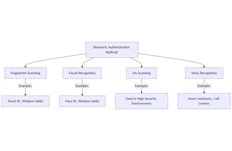 Passwordless Authentication Comprehensive Guide