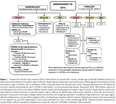 Idsa Algorithm For Ssti County Em