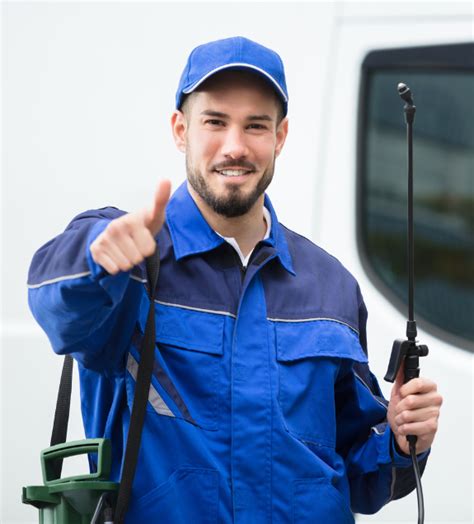 Commercial Pest Control Pest Control Perth