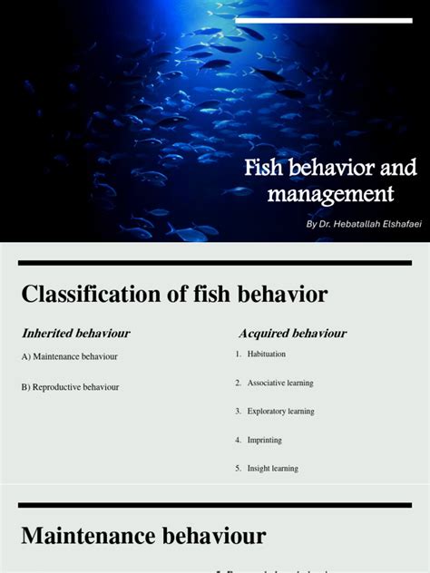 Fish Behaviour Sec 1 Pdf Plankton Predation Fish Behaviour Sec 1 Pdf Plankton Predation