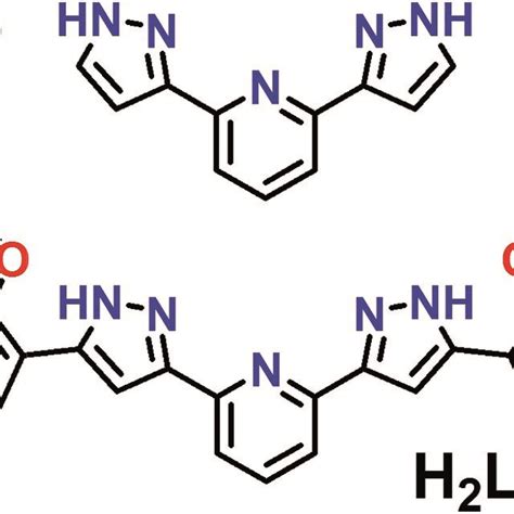 Representation Of Ligands Bpp 26 Bispyrazol 3 Ylpyridine And H2l Download Scientific