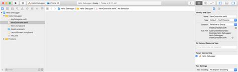 advanced apple debugging and reverse engineering chapter 1 getting started kodeco