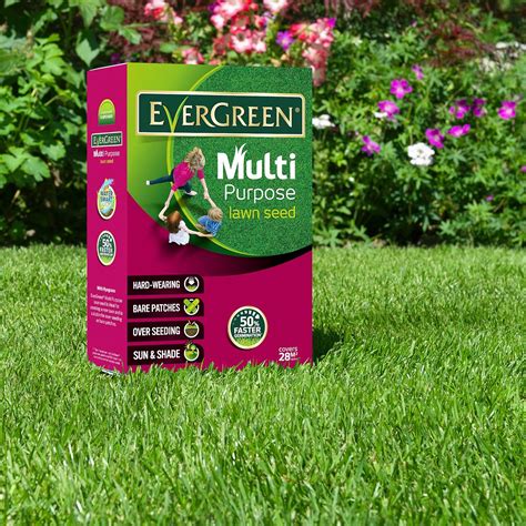 How To Keep Birds From Eating Grass Seed 6 Easy Ways To Keep In Your Mind