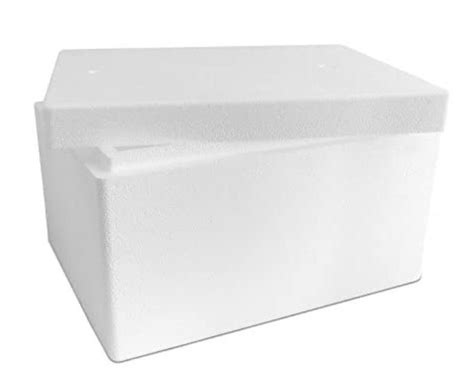 Isolierbox Mit Deckel Aus Styropor Frischhaltebox Obstbox Gebraucht In Bülach Für Chf 9 95