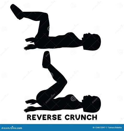 Reverse Crunches Sport Exersice Silhouettes Of Woman Doing Exercise