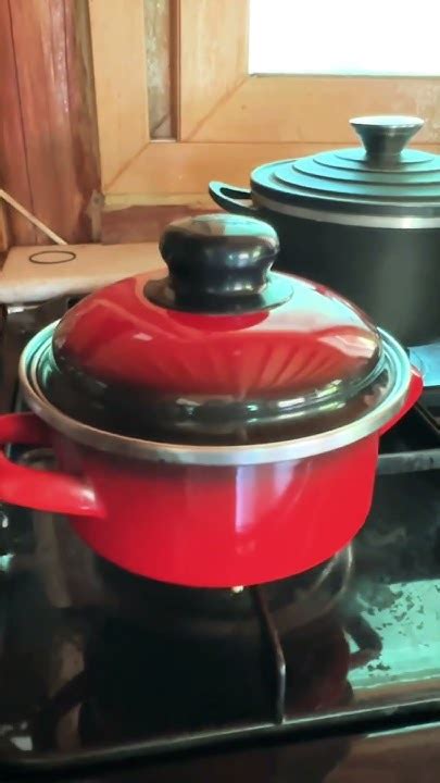 깊은산속에 홀로 오랜세월 살고있었습니다 아줌마 Youtube