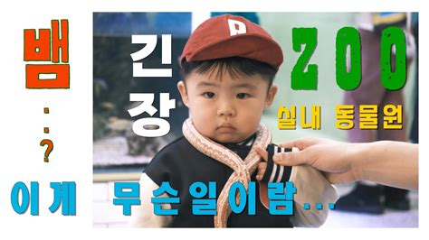 육아 브이로그 겁 없는 18개월 아기와 함께 신나게 노는 Vlog 연년생 형만 나오고 동생은 집에 Youtube