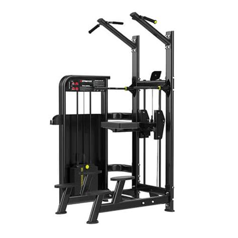 Python 020 Assisted Chin Dip Nustep Fitness India