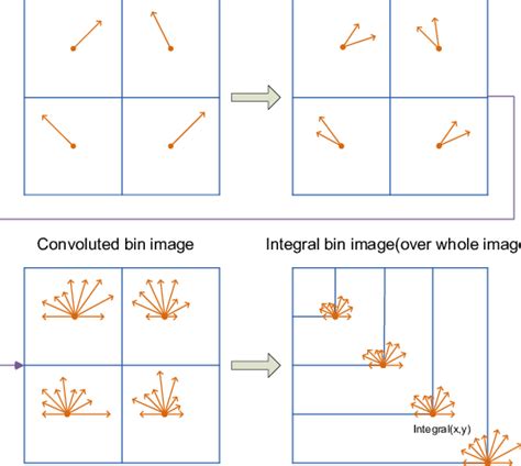 The Illustration Of The Trilinear Interpolation In The Framework Of