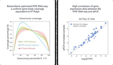 Whole Transcriptome Sequencing Bostongene