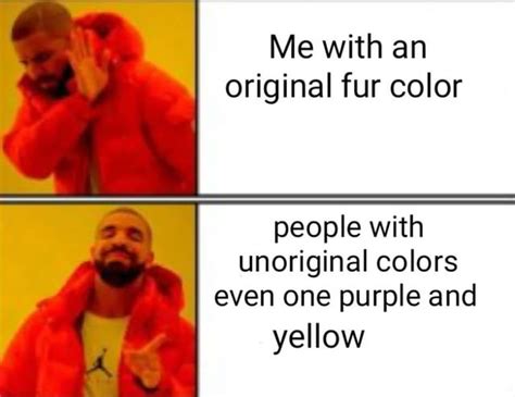 Furry Memes Rfurry4life