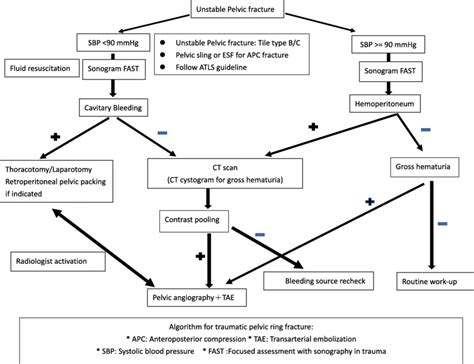 Algorithms For The Management Of Mechanical Unstable Pelvic Fractures Download Scientific