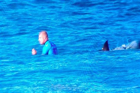 A Professional Surfer Got Attacked By A Shark On Live Tv