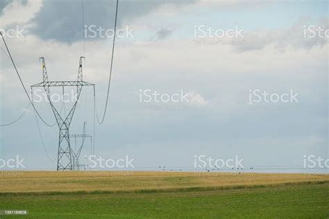 필드 공중 무인 항공기 사진 보기에서 마을 국가 농업 모양 건축에 대한 스톡 사진 및 기타 이미지 건축 계절 공중 뷰 Istock