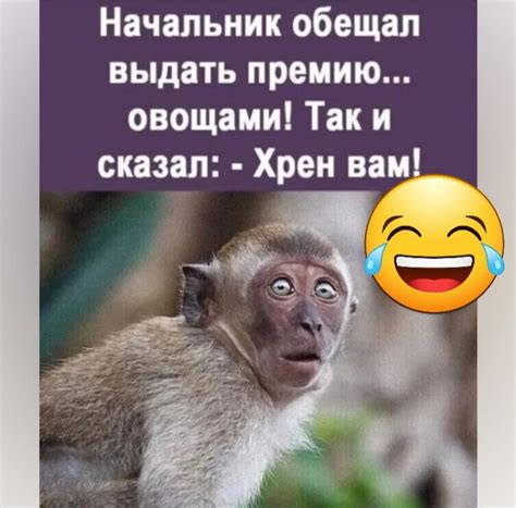 Встречаются две подруги Как дела да плохо муж импотент на 100 Это ещё