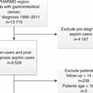 Adjusted For Age At Diagnosis Sex Stage Of Cancer Download Table