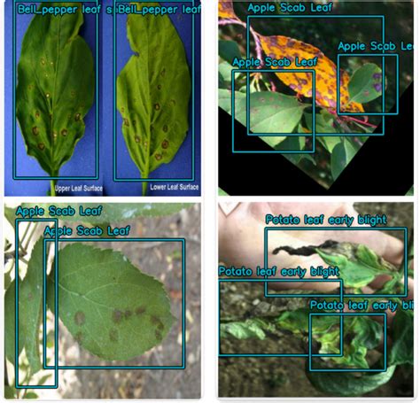 Object Detection Using Retinanet And Kerascv Towards Data Science