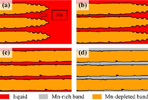 Figure 1 From The Evolution Of Heterogeneous Microstructure During Reheating Of Strip Cast
