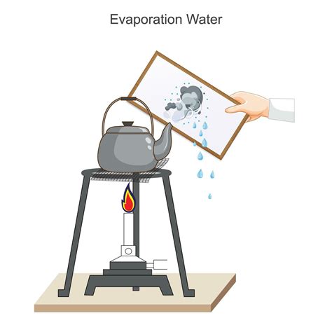 Tea Light Evaporation Experiment At Fay Davis Blog