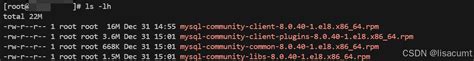 【mysql】linux安装mysql客户端linux Mysql Client Csdn博客 【mysql】linux安装mysql客户端linux Mysql Client Csdn博客