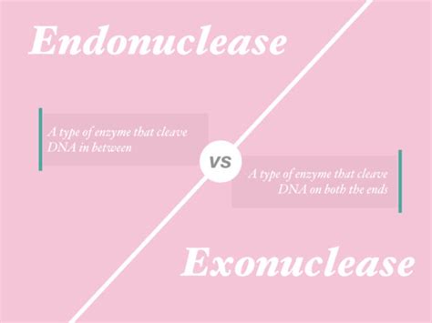 What Is Genetic Predisposition Definition Mechanism And Test Genetic Education