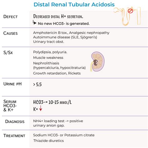 Renal System Glossary Renal Tubular Acidosis Ditki Medical