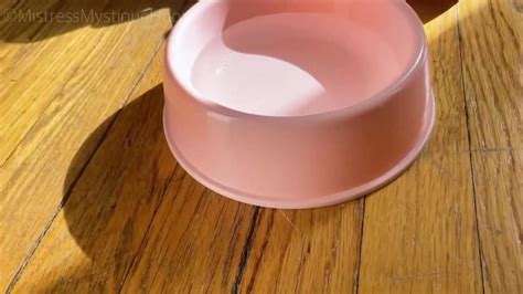 Mistress Mystique Who S My Slutty Puppy Porno Videos Hub