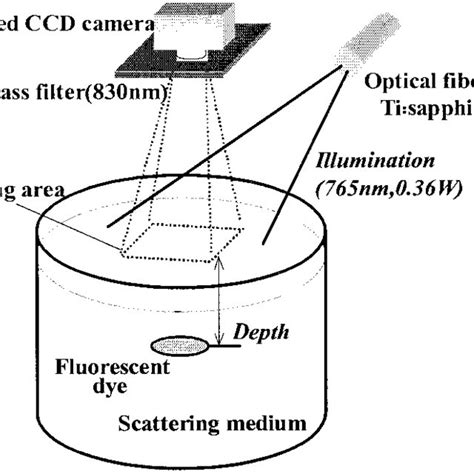 Experimental Setup For PSF Measurement Download Scientific Diagram