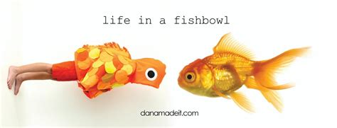 Goldfish Costume Made Everyday