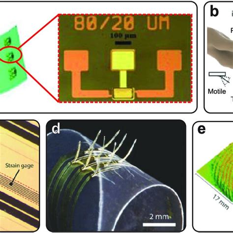 Shape Memory Polymers And Thin Film Electronics A A Bent Shape