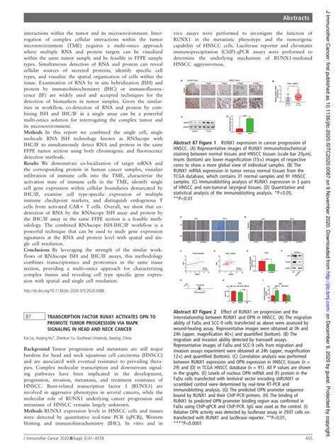 pdf 87 transcription factor runx1 activates opn to promote tumor