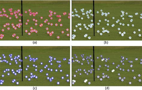 Figure 1 From A Blobs Detection Algorithm Based On A Simplified Form Of