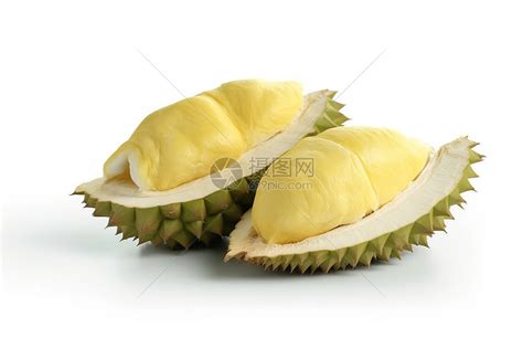 新鲜的榴莲高清图片下载 正版图片600144431 摄图网 新鲜的榴莲高清图片下载 正版图片600144431 摄图网