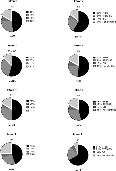 Frequency Distribution Of Conserved Pattern Groups In Intron 19 For Download Scientific